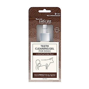 TropiClean Enticers Dog Teeth Cleaning Treat Gel | Smoked Beef Flavored Dog Toothpaste Alternative | 4 oz.