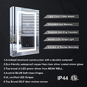 WELLFOR LED Lighted Medicine Cabinet with Defog Mirror, Mirrored Cabinet with Adjustable Shelves, Outlets & USB Ports, Recessed or Surface Bathroom Storage Cabinet, Single Left Opening Door, 20" X 30"