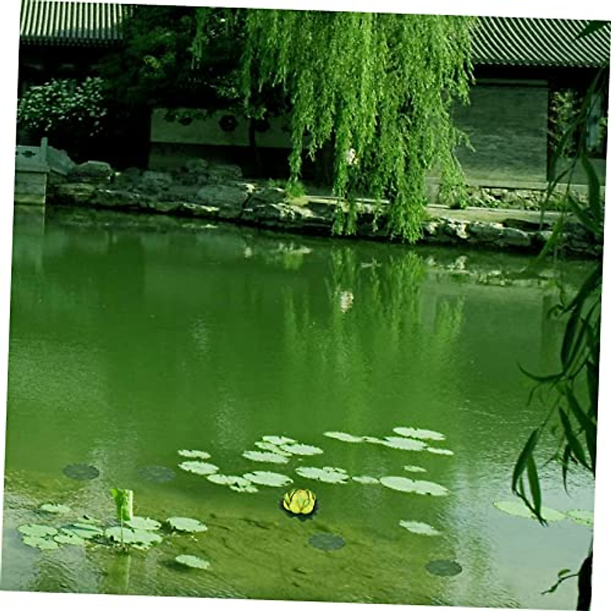 Abaodam 10pcs Fish Tank Simulated Lotus Leaf Faux Greenery artificiales para Faux Plants Fish Pond Leaves Decoration Pond Lilly pad Floating Water Lily Fish Tank Ornament