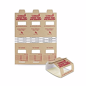 Catchmaster Spider & Insect Glue Traps 30-Pk, Brown Recluse Spider Traps, Adhesive Cockroach Killer Glue Boards, Cricket Sticky Traps, Indoor Roach Trap for Home, Garage & Shed, Pet Safe Pest Control