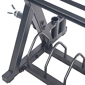 Sunny Health & Fitness All-In-One Weights Storage Rack Stand - SF-XF920025