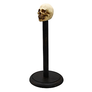 Rustic Wood Skull Paper Towel Holder Stand Up Paper Towel Holder, Easy One-Handed Tear Kitchen Paper Towel Dispenser with Weighted Base for Standard Paper Towel Rolls ,Rustic Black