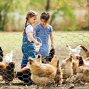 Chicken Wire Fencing Mesh 16.9IN x 50FT, Poultry Wire Netting Hexagonal Galvanized Mesh Garden Fence Barrier for Pet Rabbit Chicken Coop Cage with Mini Cutting Pliers, Wire Ties and Gloves, Silver