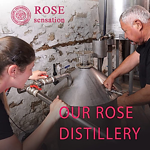 Rose Sensation Shampoo, 10 oz - Natural Moisturizing Hair Care for Strength & Growth