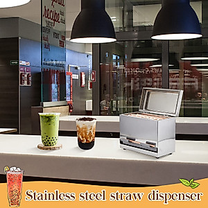 Tessco Stainless Steel Straw Dispenser for Pencils Reusable Straw Holder with Lid Pencils Dispensers for Class Straw Organizer for Countertop Home Classroom Coffee Bar Supplies
