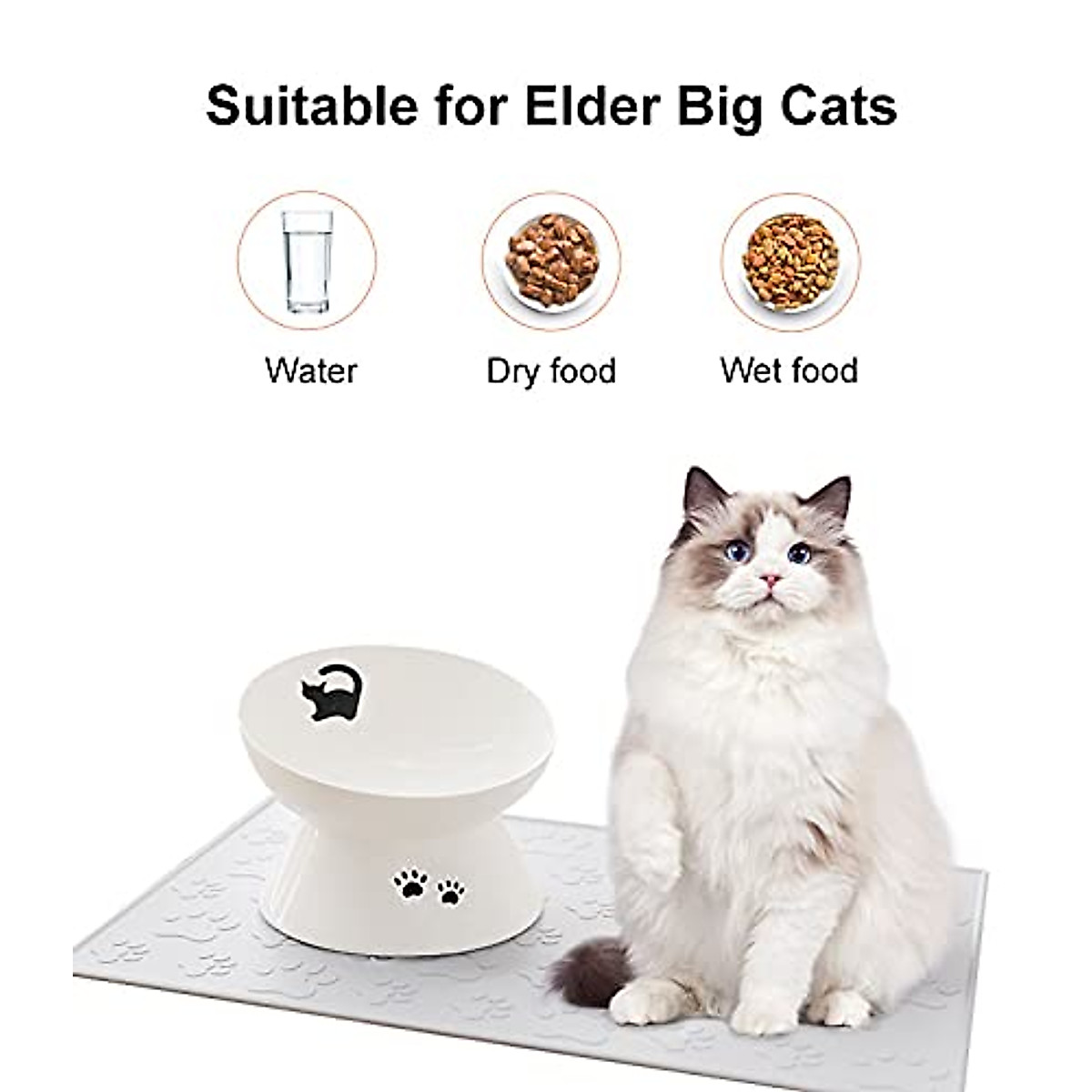immaculife Ceramic Raised Cat Food Bowl, Slanted Cat Dish, Tilt Angle Protect Cat's Spine, Stress Free, Backflow Prevention