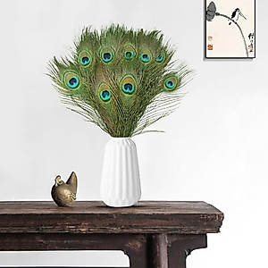 iHUFeather 10PCS Real Natural Peacock Eye Feathers 10-12 inch for DIY Craft Floral Arrangements,Wedding,Home and Party Decorations Feathers,Natural