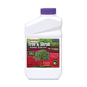 Annual Tree & Shrub Drench Concentrate Multiple Insects Qt