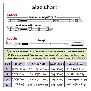 Olahibi Dog Collar and Leash Set, Cute Pink Daisy Pattern, Polyester Material, 5ft Leash, for Small Dogs.(S, Daisy Set)
