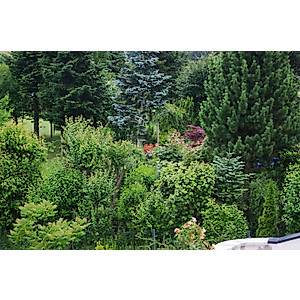 Pentax DA 18-55mm f/3.5-5.6 AL II Lens for Pentax and Samsung Digital SLR Cameras