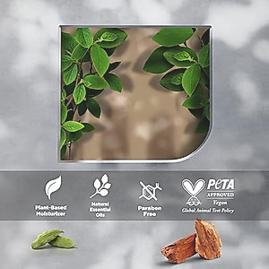 Dove Men+Care Antiperspirant Stick Sandalwood + Amber 4 Count 72H Protection with a Plant-Based Moisturizer 2.6 oz