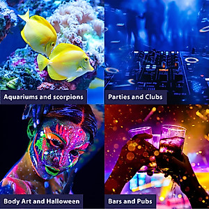 TBE LIGHTING 4w / 6 inch UV Black Light Tubes - F4T5/BLB 395nm Ultraviolet UVA Black Light to Provide Party Effect Lighting, Detecting Holograms on monetary Notes/passports - G5 2-Pin Base(2-Pack)