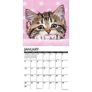 Just Kittens 2021 Wall Calendar