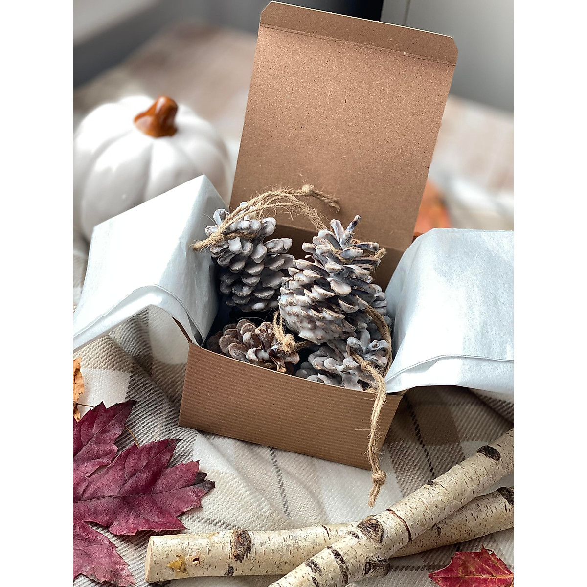 Fire Starters Scented Pine Cones | Fireside Natural Fire Pit Starters with Natural Soy Wax | Christmas Home Fragrance Fir + Cypress + Cedar + Amber + Moss | Set of 6 Pine Cones Gift Box