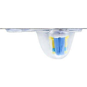 Oral-B Pro-Health Pulsar Battery Powered Toothbrush, Soft, Colors May Vary, 1 Count