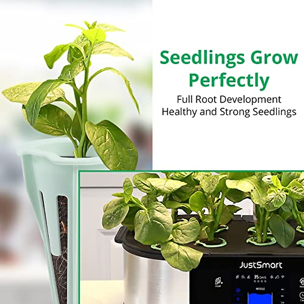 JustSmart 50 Pack Growth Sponges, Replacement Root Growth Sponges Seed Pods Compatible GS1 Series, Seedling Starter Sponges Kit for Hydroponic Growing System Indoor Garden