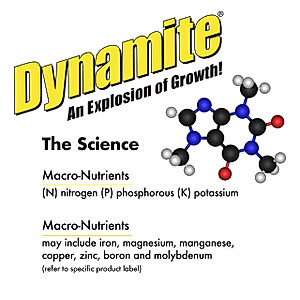 Dynamite Mater Magic - Organic Tomato Fertilizer for Bigger, Juicier Tomatoes and Vegetables, OMRI Listed, Nitrogen and Calcium-Rich Plant Food - .675 Pound Container with Shaker Lid