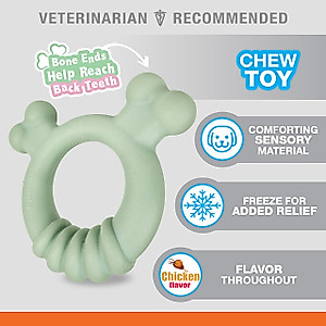 Nylabone Sensory Material Puppy Chew Toy Ring, Toys for Teething Puppies, Chicken Flavor, Small - Up to 25 lbs, 1 Count