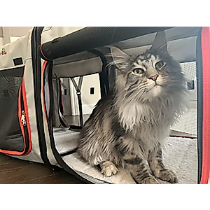 Double Pet Carrier for Cats and Dogs – Use Individually or Zip Together for Large Travel Pet Carrier – Lightweight Connect Carrier – Compact – Carry Case Included