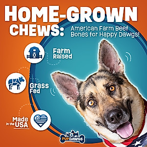 PUPDAWGS Single Ingredient Dog Bones - Made in USA - Beef Femur Bones - Natural Dog Bones for Aggressive Chewers - from USDA Inspected Beef - Hickory Smoked - Individually Wrapped (4 Piece Pack)