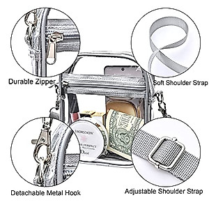 gdbis Clear Crossbody Bag, Stadium Approved Clear Purse Bag for Concerts Sports Events, Grey
