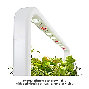 Click & Grow Indoor Herb Garden Kit with Grow Light | Easier Than Hydroponics Growing System | Smart Garden for Home Kitchen Windowsill | Vegetable & Herb Garden Starter Kit with 9 Plant pods, White
