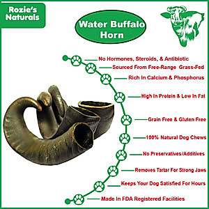 WATER BUFFALO HORN-100% Natural, Long-Lasting, Grain-Free, Gluten-Free, Dog Dental Treats & Chews-2 COUNT-15 oz