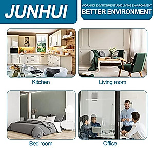 C545 True HEPA Replacement Filters for C545 B151, P150, 9300,Winix Filter S 1712-0096-00 and 2522-0058-00, 4 Carbon Prefilters+2 Pack H13 Filters