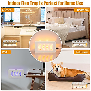 Flea Traps for Inside Your Home, Flea Trap with Adjustable Light Modes & 4 Flying Insect Trap Sticky Refill Pads, Pest Trapper for Fleas, Flies, Mosquitoes (2, White)