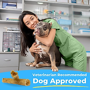 Tartar Shield Soft Rawhide Chews | Safe Dental Treats for Small Dogs | Vet VOHC Approved | Daily Bone Cleans Teeth & Gums Fresh Breath Oral Health Support | USA Made | (Small Dogs / 30 Count)