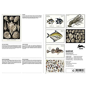 Marine: Paper Placemat Pad (Multilingual Edition) (English, French and German Edition)