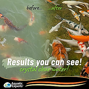 Aquatic Experts Cream COARSE Pond Filter Pad - 2 inch Thick - Bulk Roll Water Garden Filter Pond Media - Made in USA (12" x 36")