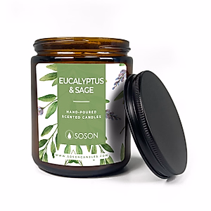 Simply Soson 9 oz Eucalyptus and Sage Scented Candle for Home - Amber Glass Jar - 50 Hour Long Lasting Candles - Jar Candles are The Best Gifts for Birthday, Valentine, Anniversary, Dinner, Parties