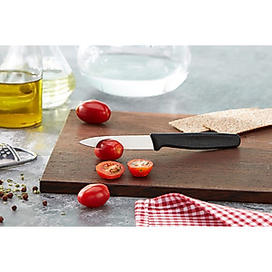 Victorinox Stainless Steel,3" Blade