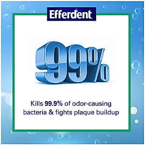Efferdent Plus Mint Anti-Bacterial Denture Cleanser | 90 Tablets