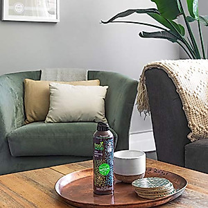 Fresh Wave Odor Eliminator Spray & Air Freshener, 8 oz. | Pack of 2 | Non-Aerosol, Fine Mist | Odor Absorbers | Safer Odor Relief | Natural Plant-Based Odor Eliminator | For Furniture, Fabrics & Trash