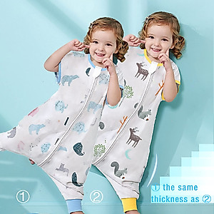 Reinewol Toddler Sleepsack,TOG 1.0 Sleep Bag with Feet,Baby Sleeveless Sleep Sack with Zipper 2-Pack(Multicolor, Large)