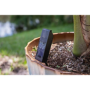 Kenroy Home 60650 Plant Solar Lighting, Small, Black