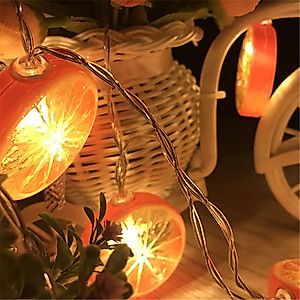 LEKIBOP Fruit String Lights Battery Powered Indoor Outdoor Lighting Lamp Strawberry/Grape/Watermelon/Lemon/Banana for Wedding Home Birthday Garden Yard Patio Party Decorations (Orange Lemon)