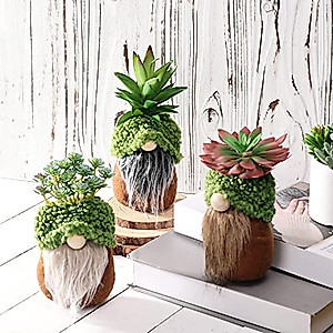Upltowtme Succulent Gnomes Greenery Plants Swedish Tiered Tray Faux Moss Tomte Cacti Nordic Dwarf Home Stuffed Gnomes Collection Garden Display Friend's Coworker's Summer Gift for Plant Lover Set of 3