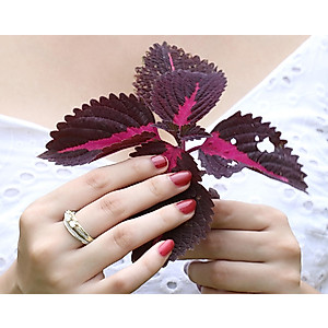 Dazzlingrock Collection 1.00 Carat (Cttw) 14K Round Diamond 3 Stone Engagement Ring Set 1 CT, Yellow Gold, Size 7.5