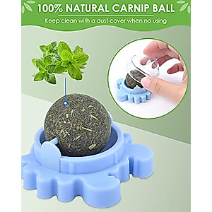 TINDTOP Catnip Balls & Silvervine Sticks Kit, Natural Catnip Toys for Kittens Teeth Cleaning, Matatabi Dental Care, Increase Appetite, Calm Cat Anxiety and Stress, Aggressive Chewers Cat Dental Toy