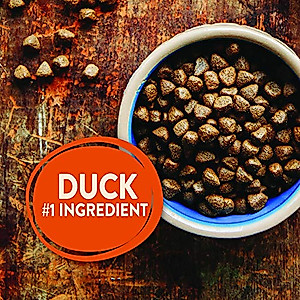 Wellness CORE Natural Grain Free Dry Dog Food, Wild Game (26-Pound Bag) CORE Natural Bowl Boosters Bare Dog Food Mixer or Topper, Freeze Dried Turkey (4 oz)