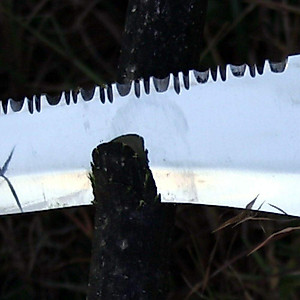 Crocodile Hunter Wood Big Bad Fixed Blade Sawback Survival Knife- Brass Details