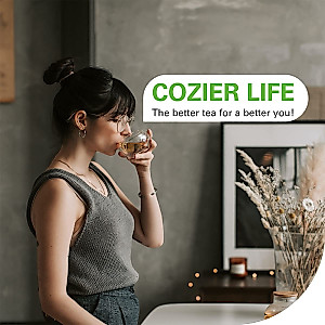 WT WEETEE Organic Green Tea Bags, USDA Organic Pure Green Tea 100 Count, Super Antioxidant | Resealable Kraft Bag | Brew Hot or Iced