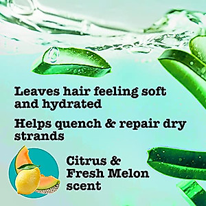 Maui Moisture Heal & Hydrate + Shea Butter Shampoo + Conditioner to Repair & Deeply Moisturize Tight Curly Hair with Coconut & Macademia Oils, Vegan, Silicone, Paraben & Sulfate-Free, 13 Fl Oz