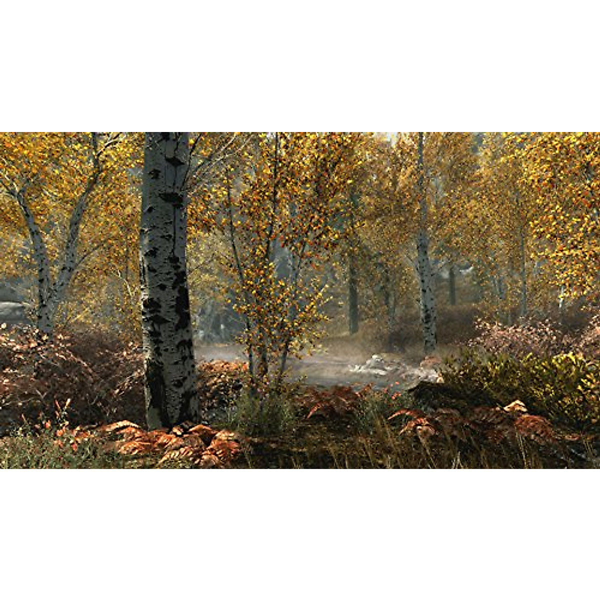 The Elder Scrolls V: Skyrim Special Edition - Xbox One