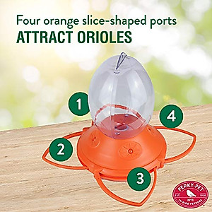 Perky-Pet Opus Plus 32-ounce Plastic 449-2 Oriole Feeder