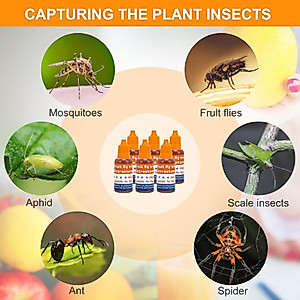 Fruit Fly Trap Refill Liquid Only, 2024 Upgrade Traps for Indoors, Efficient Gnat Killer Indoor, Fruit Bait Home, Kitchen (6, Orange)