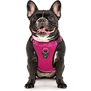 Canada Pooch Everything No Pull Dog Harness - Easy Walk Harness for Dogs with Breathable Mesh Exterior, Adjustable Dog Walking Harness Great for Dogs Pink/L